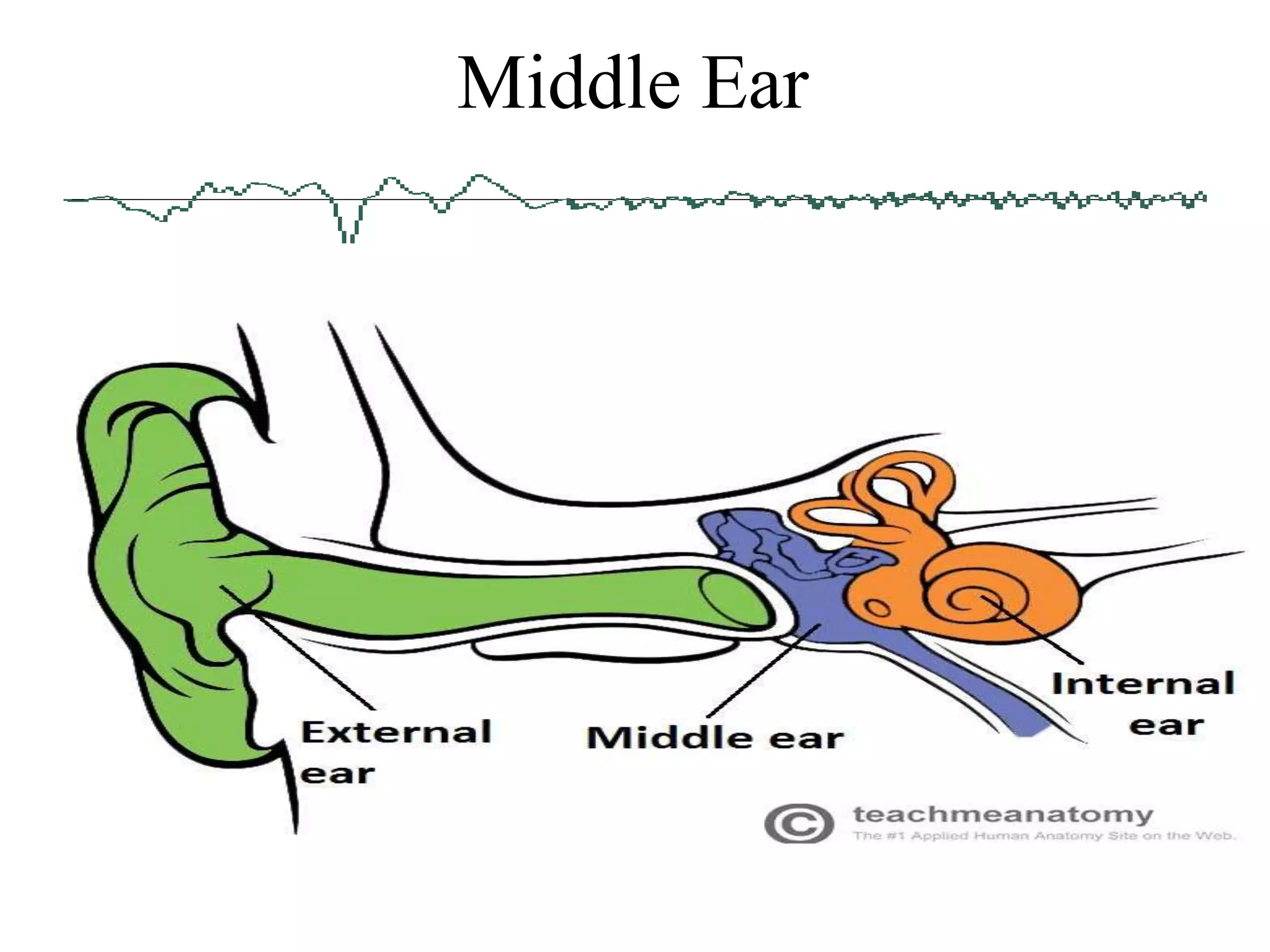 Anatomy of ear.ppt