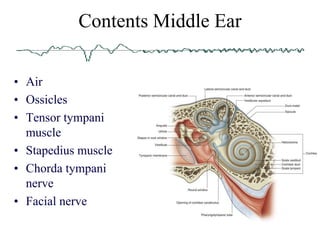 Anatomy of ear.ppt