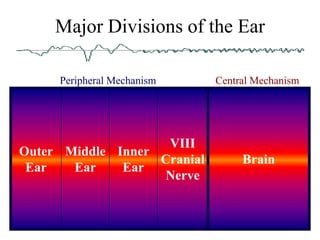 Anatomy of ear.ppt