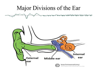 Anatomy of ear.ppt