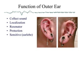 Anatomy of ear.ppt