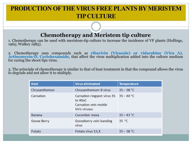 Meristem tip culture for the production of the virus free plants | PPTX ...