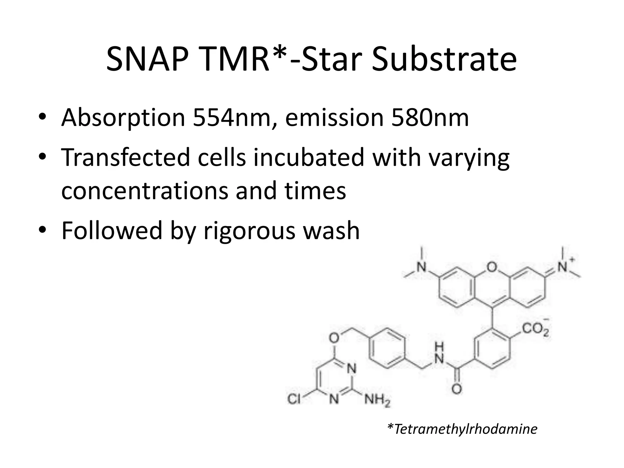 Molecular tagging with SNAP-tag Final (3) | PPT