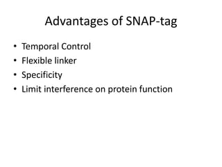 Molecular tagging with SNAP-tag Final (3) | PPT