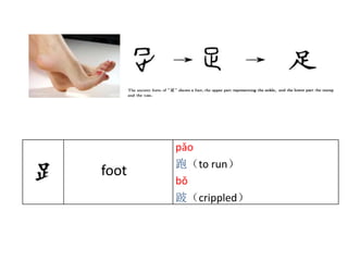 06 basic chinese radicals | PPTX