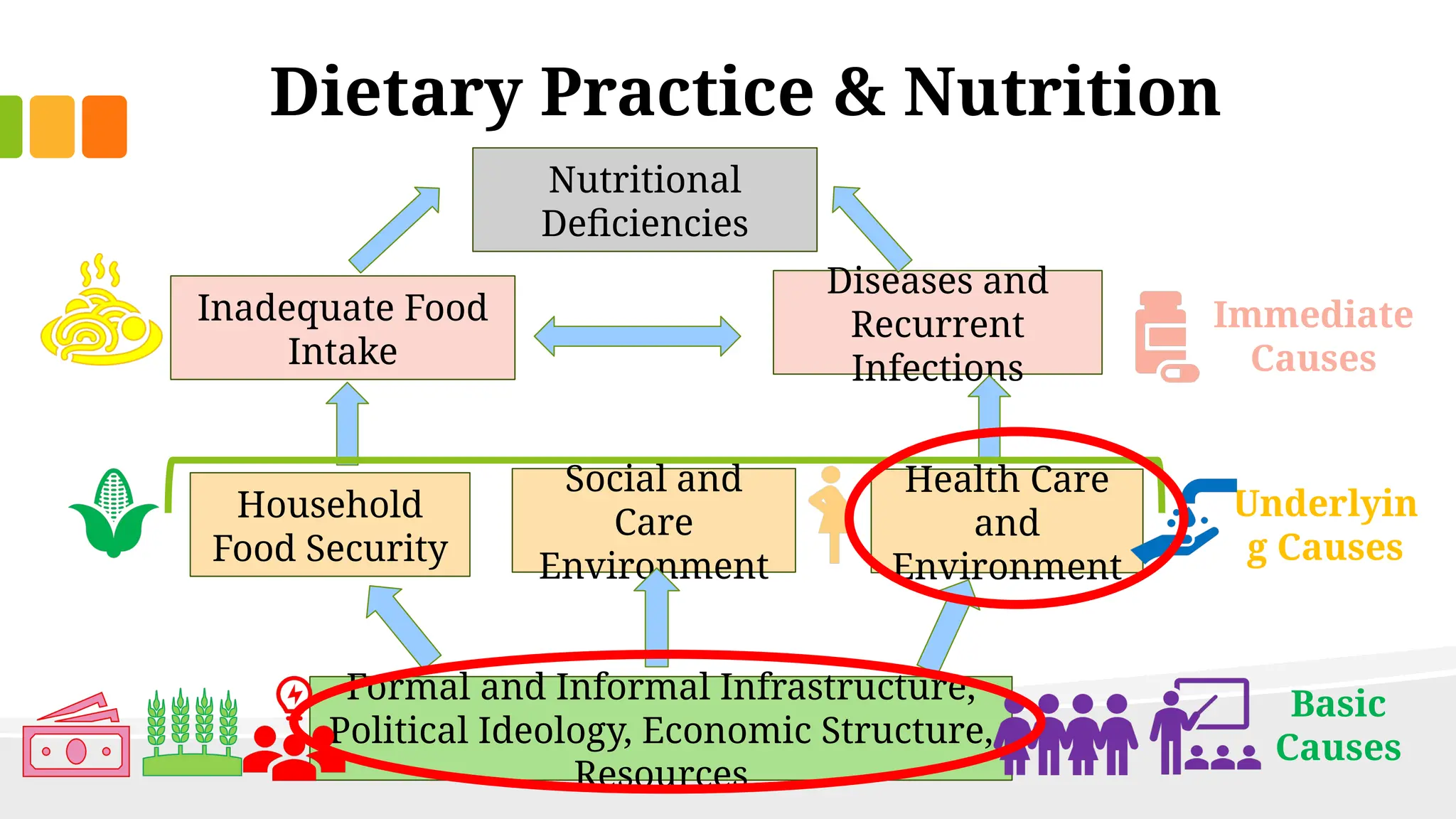 Basic Nutrition Dietary Practice_0518MT.pptx