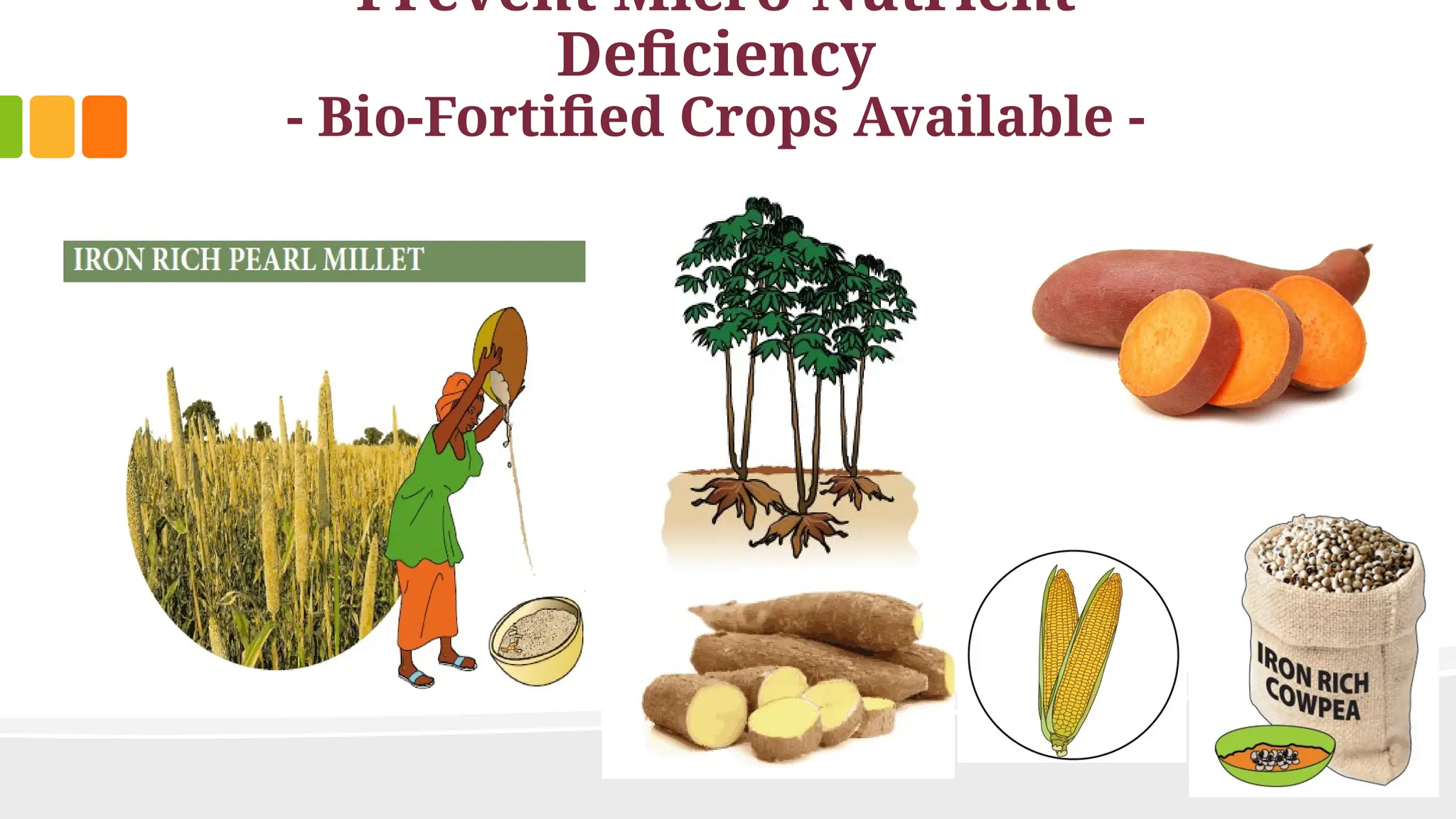 Basic Nutrition Dietary Practice_0518MT.pptx