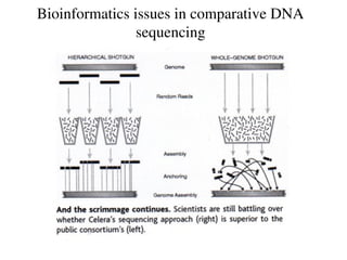 DNA SEQUENCING TECHNIQUES AND TYPES OF SEQUENCINGppt | PPT