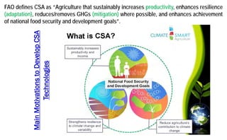 Bed Planting - Climate Smart Agriculture | PPT