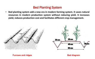 Bed Planting - Climate Smart Agriculture | PDF
