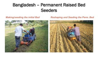 Bed Planting - Climate Smart Agriculture | PDF