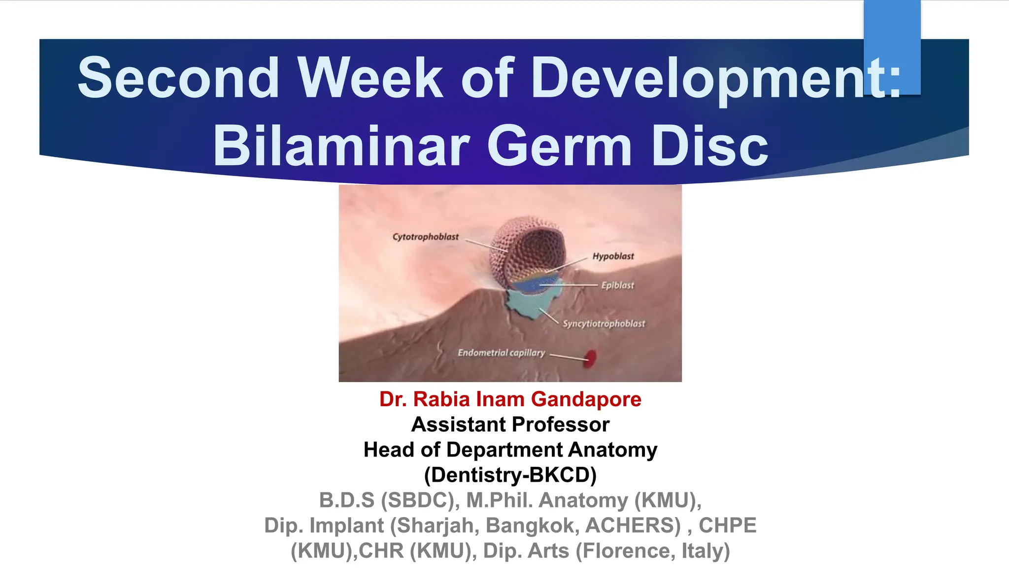 06 Bilaminar Germ Disc by Dr. Rabia I. Gandapore.pptx