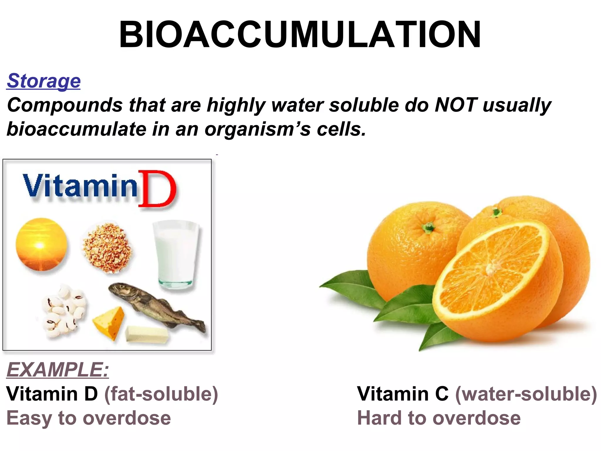 06 bioaccumulation | PPT