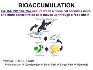 06 bioaccumulation | PPT