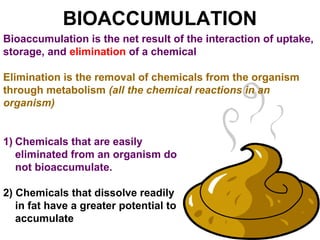 06 bioaccumulation | PPT