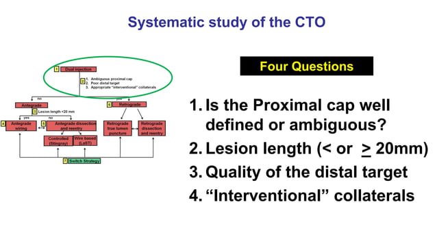CTO in North America | PPTX