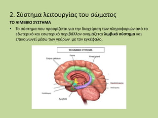 Διαχείριση άγχους sample | PPTX