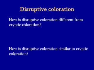 Understanding Camouflage | PPT
