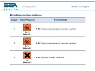 Rischio di esposizione ad agenti cancerogeni e mutageni | PPT