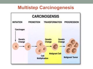 Carcinogenesis | PPTX