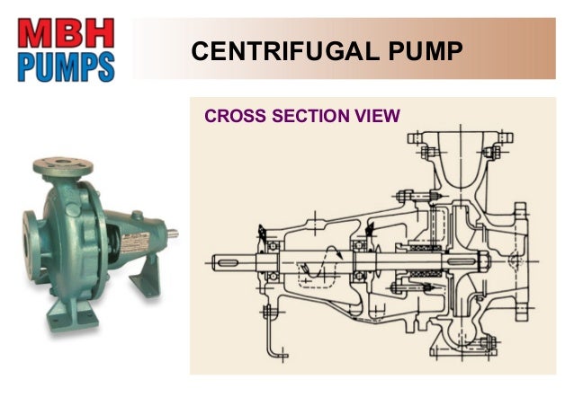 Centrifugal Pump Cross Section
