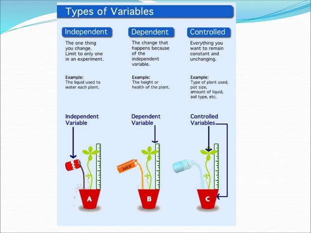 06 chapter 4 Types of variables.ppt