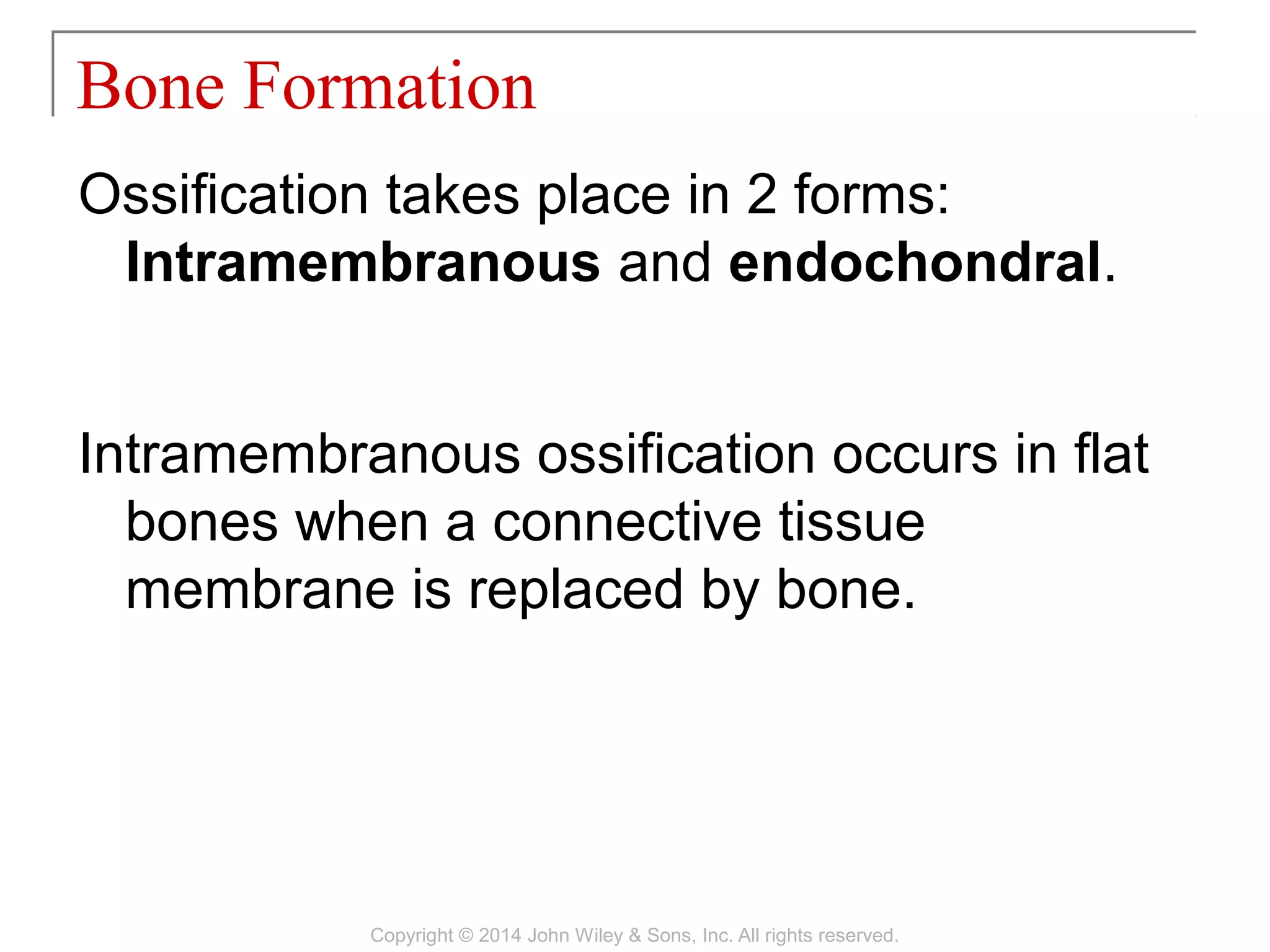 06 [chapter 6 the skeletal system bone tissue] | PPT