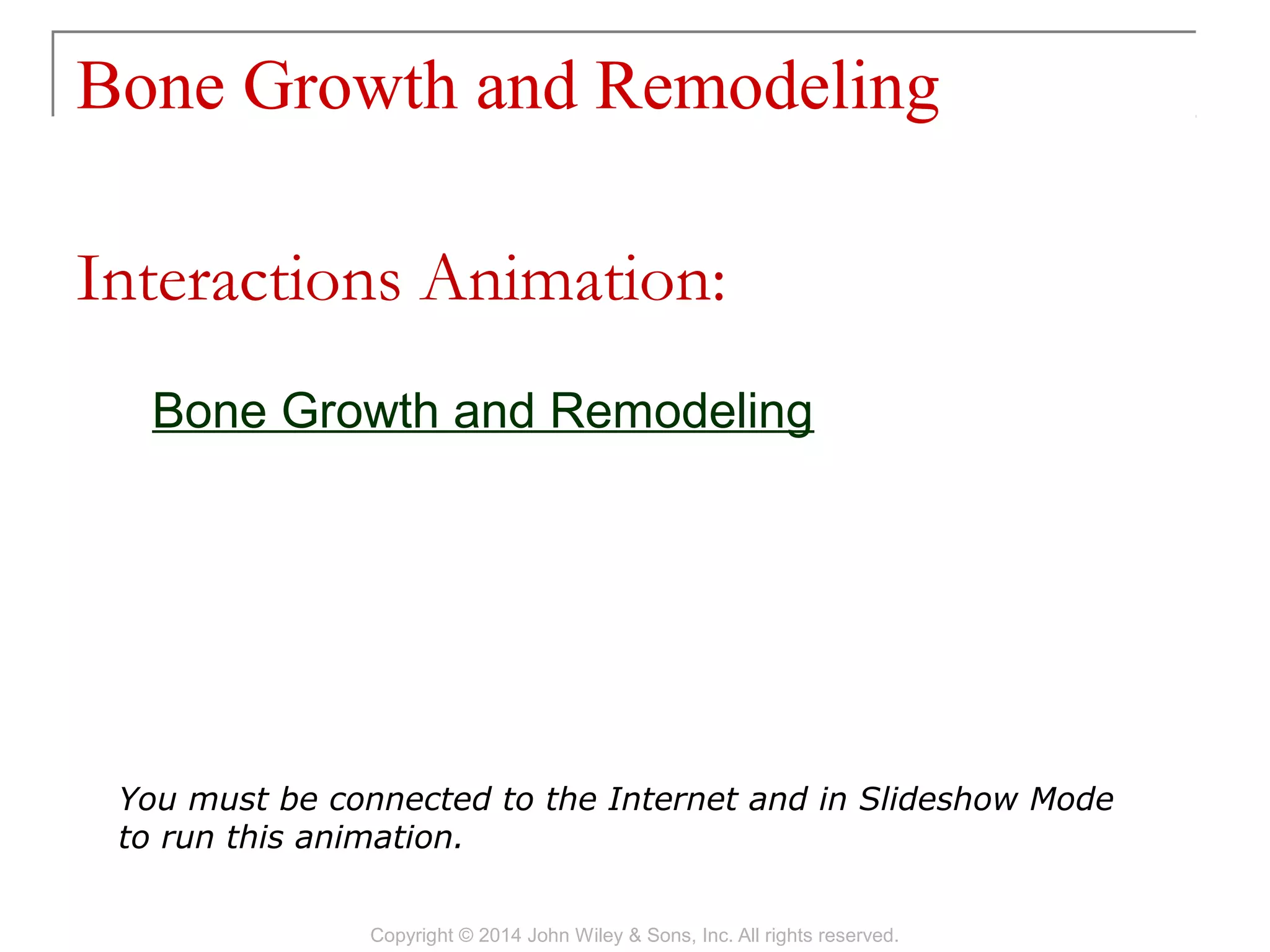 06 [chapter 6 the skeletal system bone tissue] | PPT