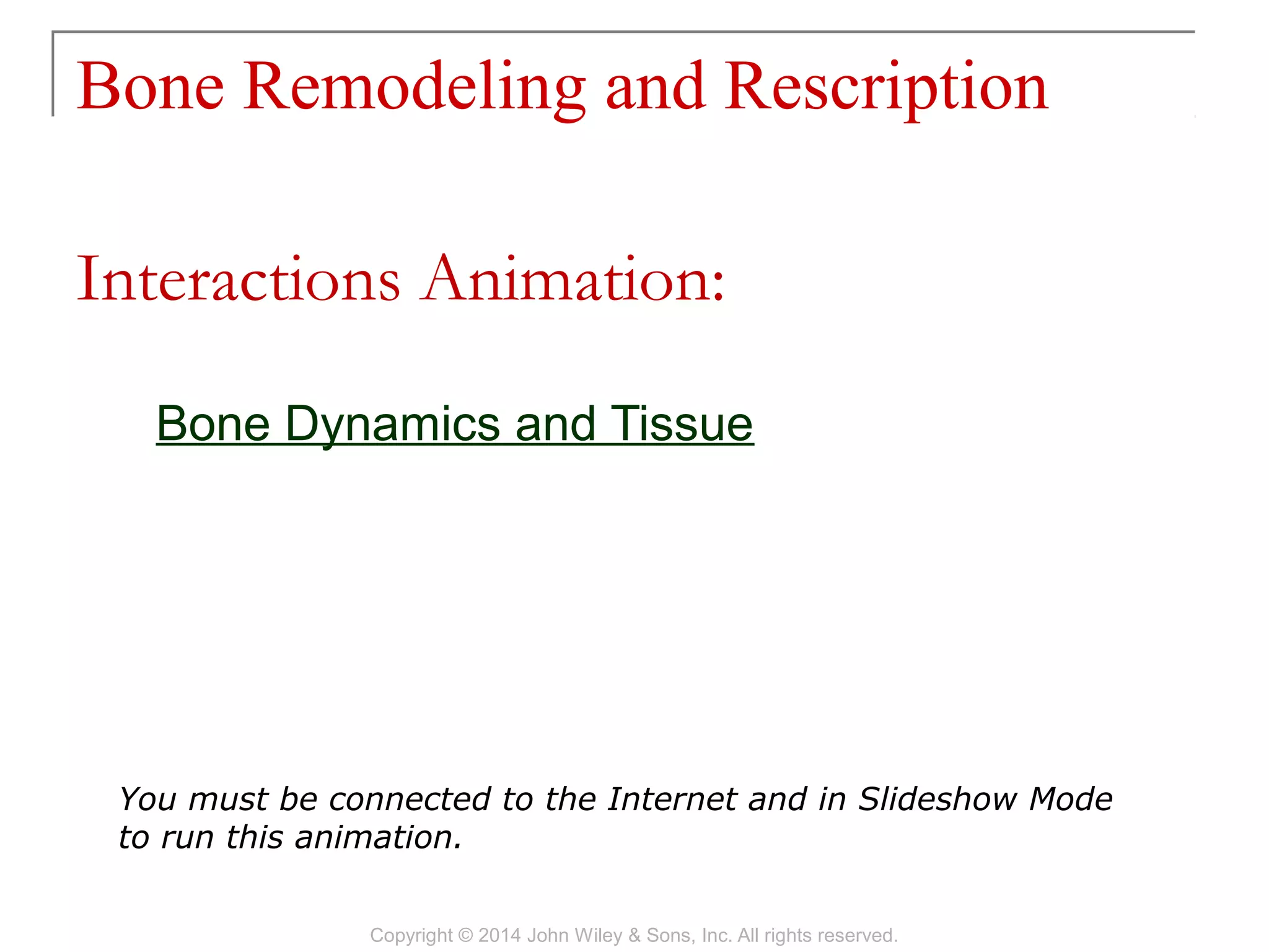 06 [chapter 6 the skeletal system bone tissue] | PPT