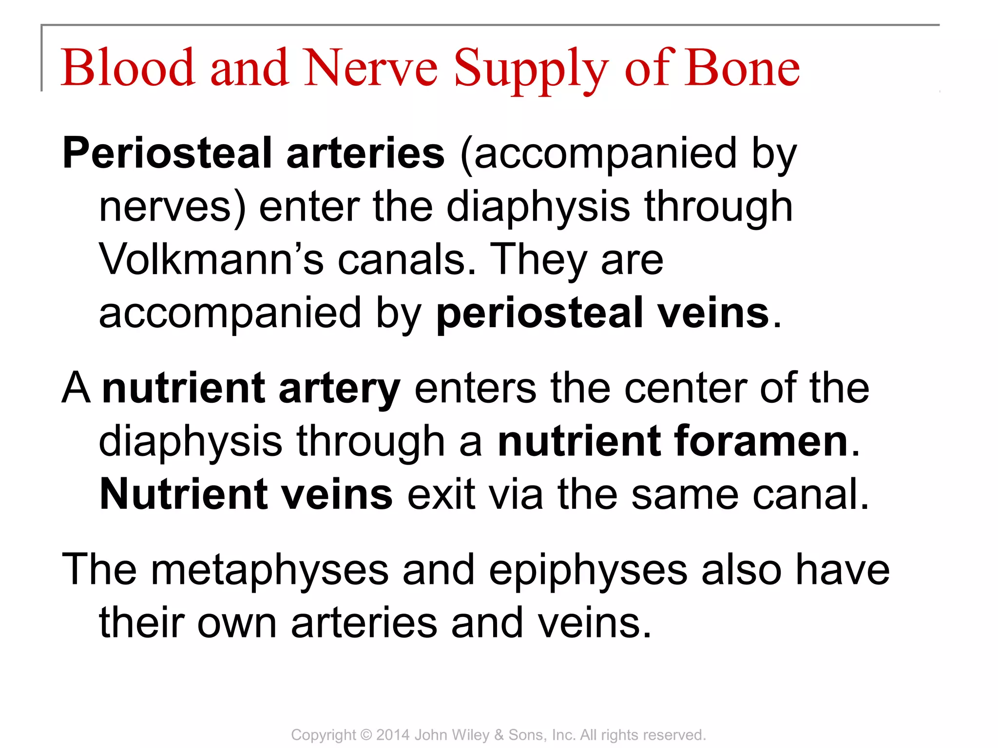 06 [chapter 6 the skeletal system bone tissue] | PPT