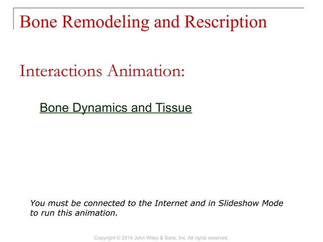 06 [chapter 6 the skeletal system bone tissue] | PPT | Bone and Joint ...