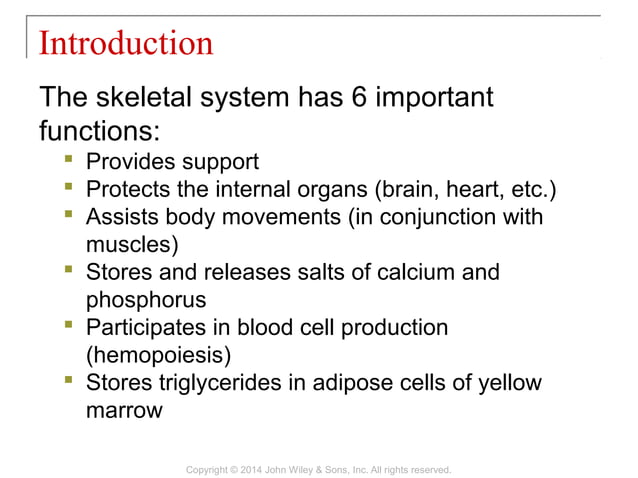 06 [chapter 6 the skeletal system bone tissue] | PPT | Bone and Joint Conditions | Diseases and ...