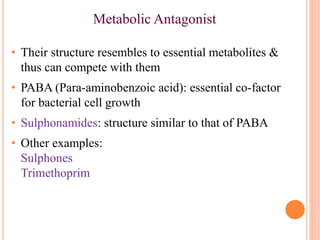 Chemotherapy & Antibiotics | PPSX