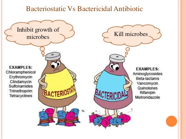 Bactericidal Antibiotics | Mechanisms of conventional, bactericidal ...