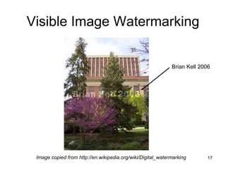 06 cie552 image_manipulation | PPT