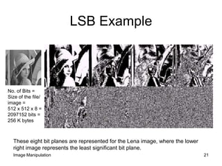 06 cie552 image_manipulation | PPT