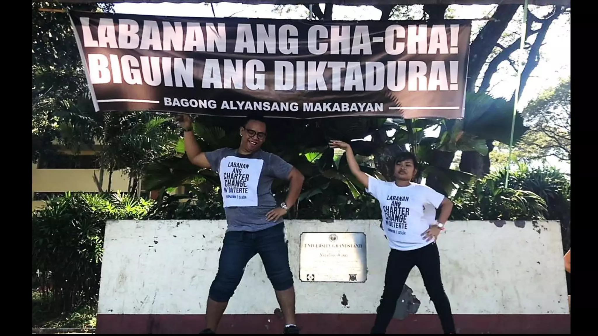 Constitution: Definition and Classifications | PDF