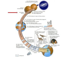 Hydrologiska kretsloppet | PPT