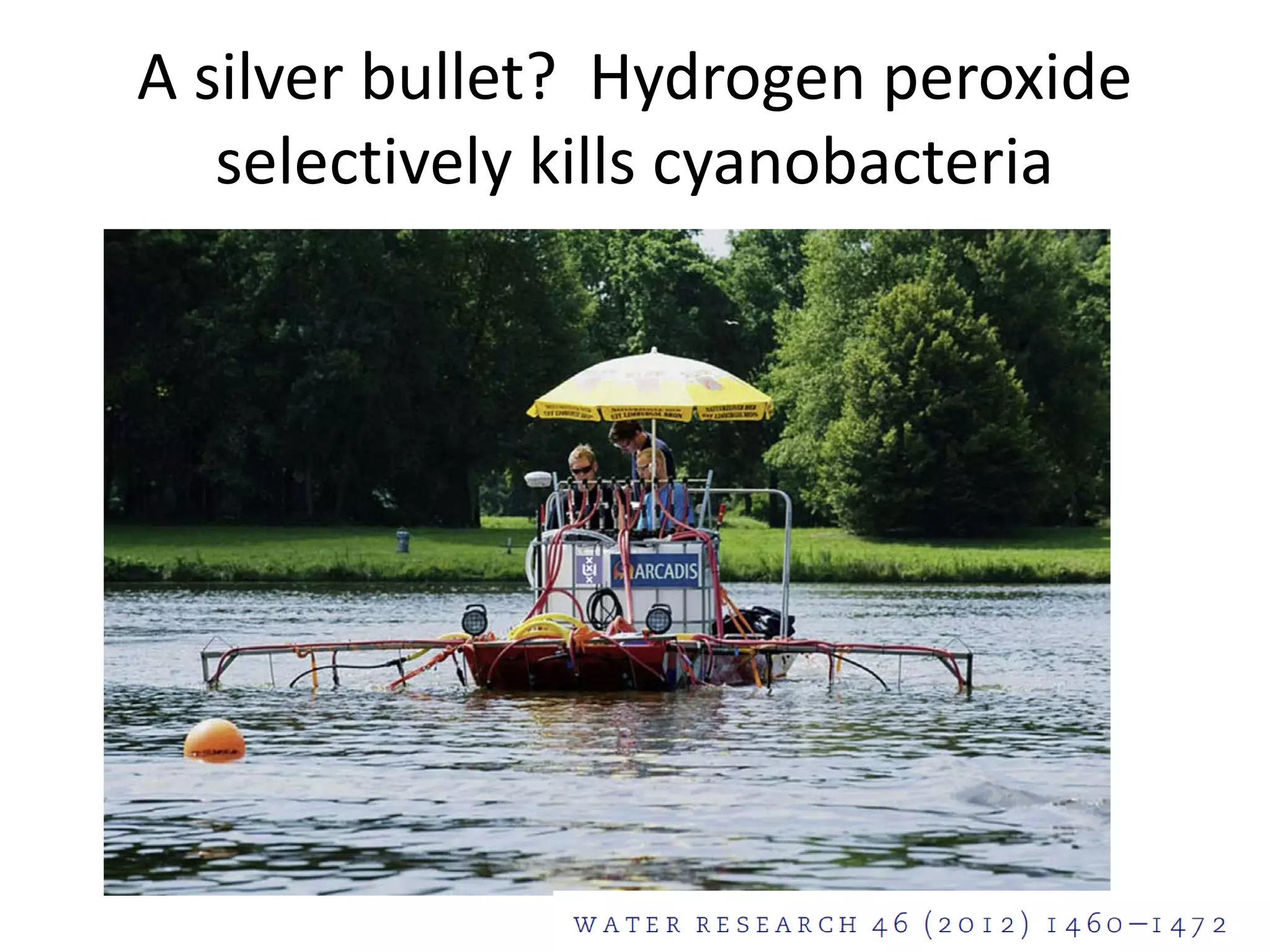 Controlling the Toxicity of Harmful Algal Blooms | PPT