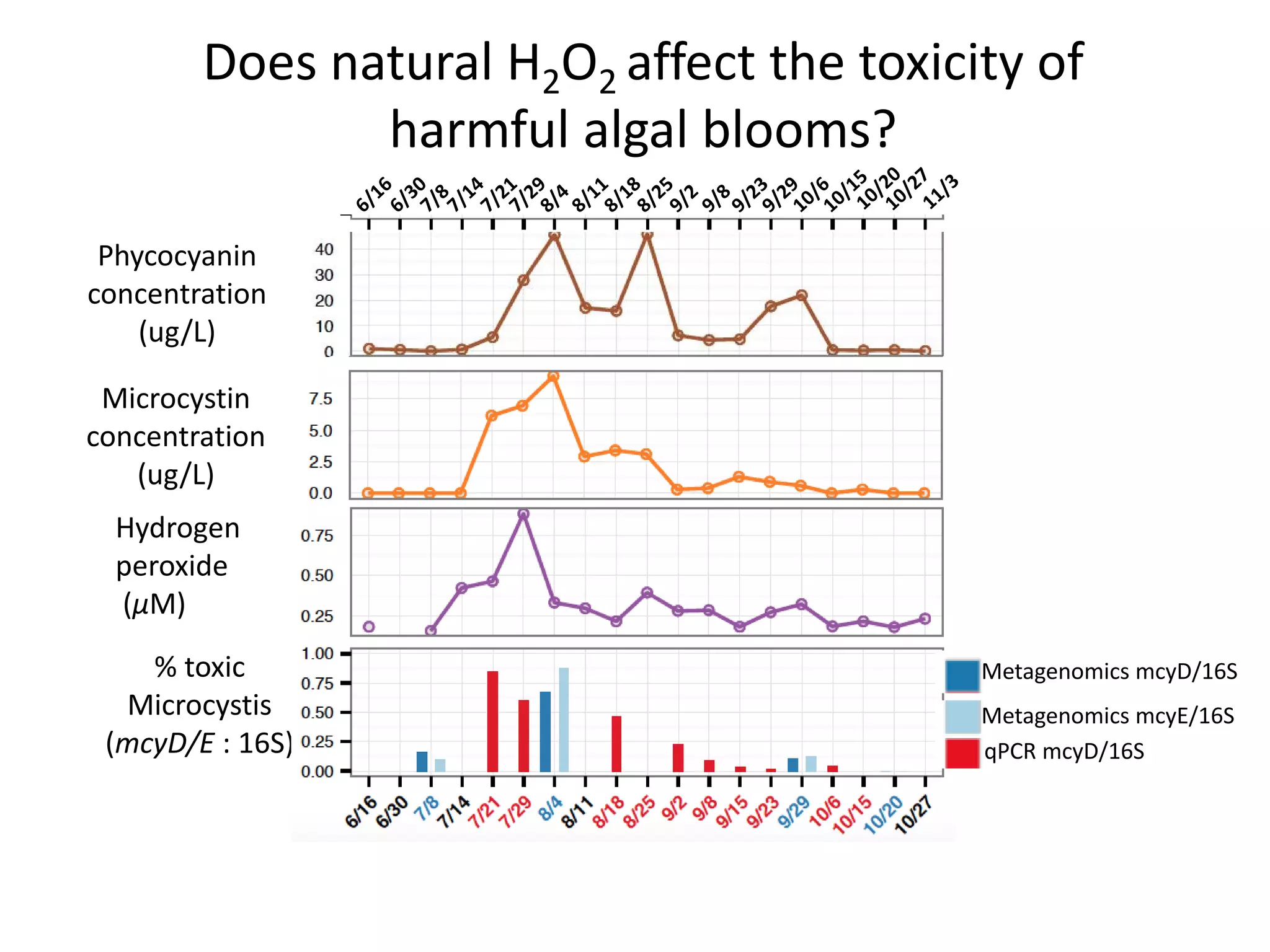 Controlling the Toxicity of Harmful Algal Blooms | PPT