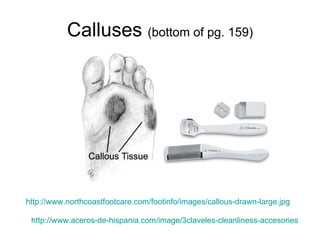 06 Skin Disorders | PPT