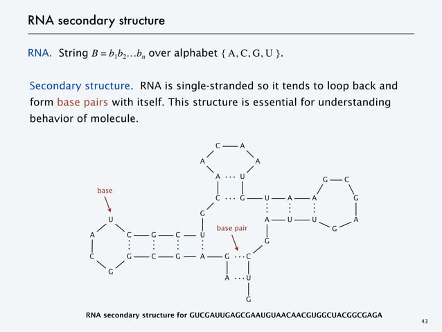 06dynamicprogramming In Algorithms Csepdf