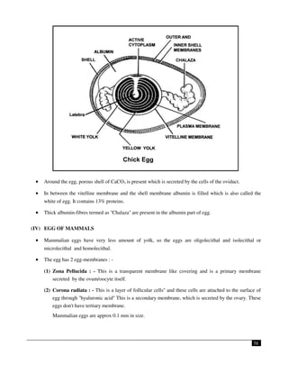 embryology (theory) | PDF