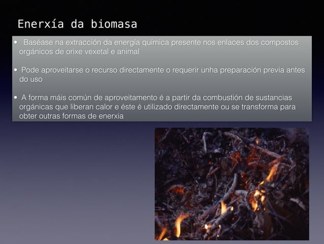 06 energiaalt biomasa | PDF