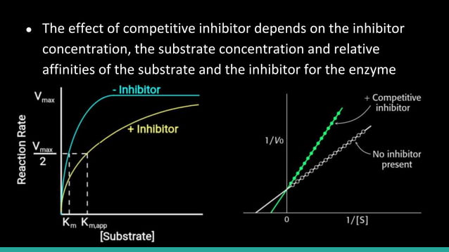 Enzyme Inhibition | PPTX | Chemistry | Science