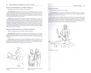 06 exploracion columna | PDF