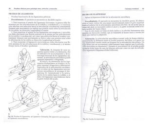 06 exploracion columna | PDF