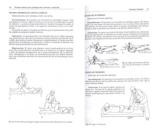 06 exploracion columna | PDF