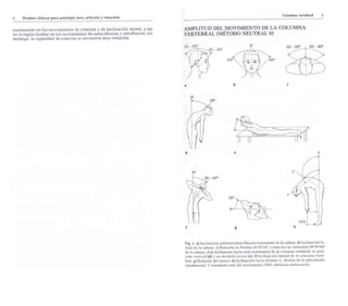 06 exploracion columna | PDF