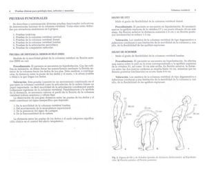 06 exploracion columna | PDF